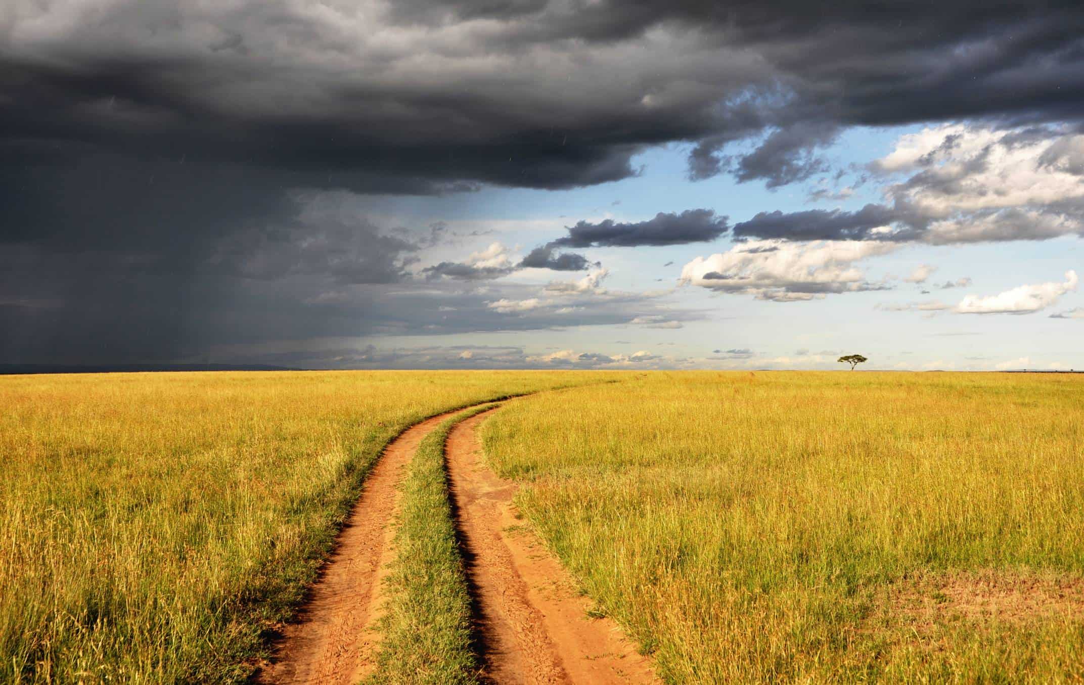 FAQs On The Termination Of Employment Via Redundancy Process In Kenya 